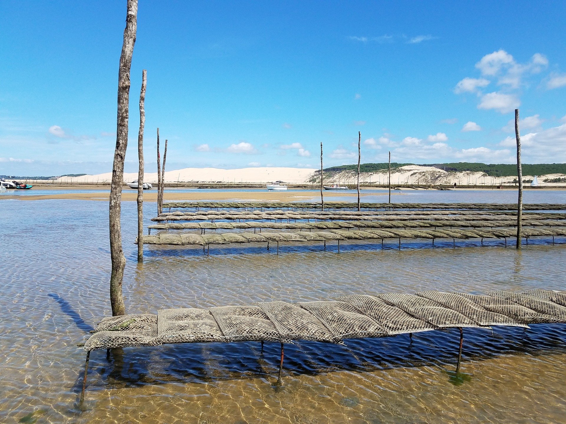 Top Things to do in Arcachon - The Ginger Wanderlust