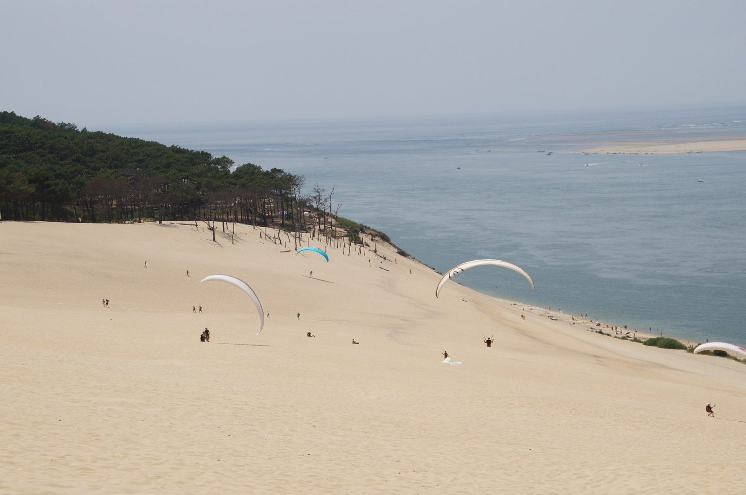 Top Things to do in Arcachon - The Ginger Wanderlust