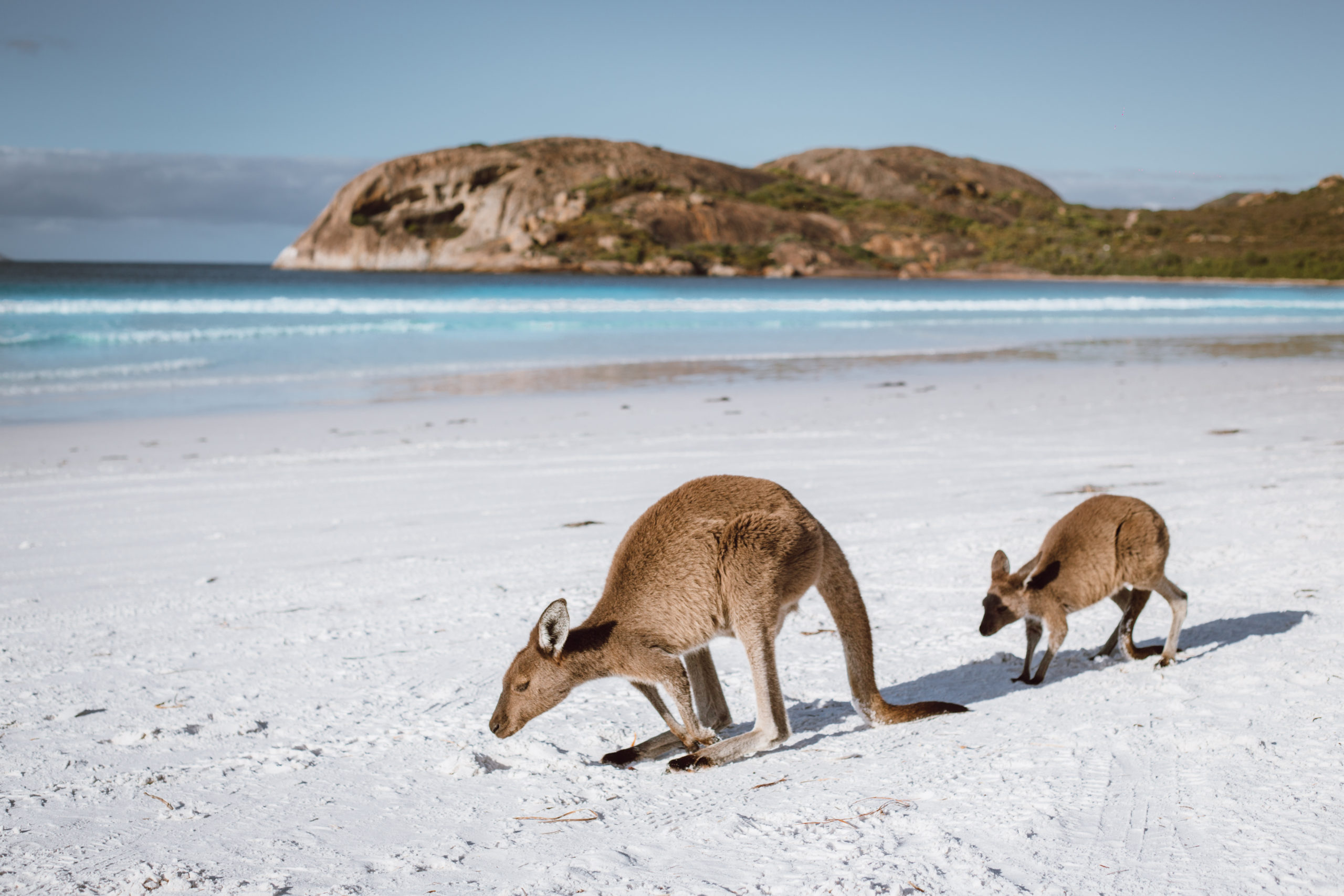 Best beaches in Esperance, Western Australia - The Ginger Wanderlust