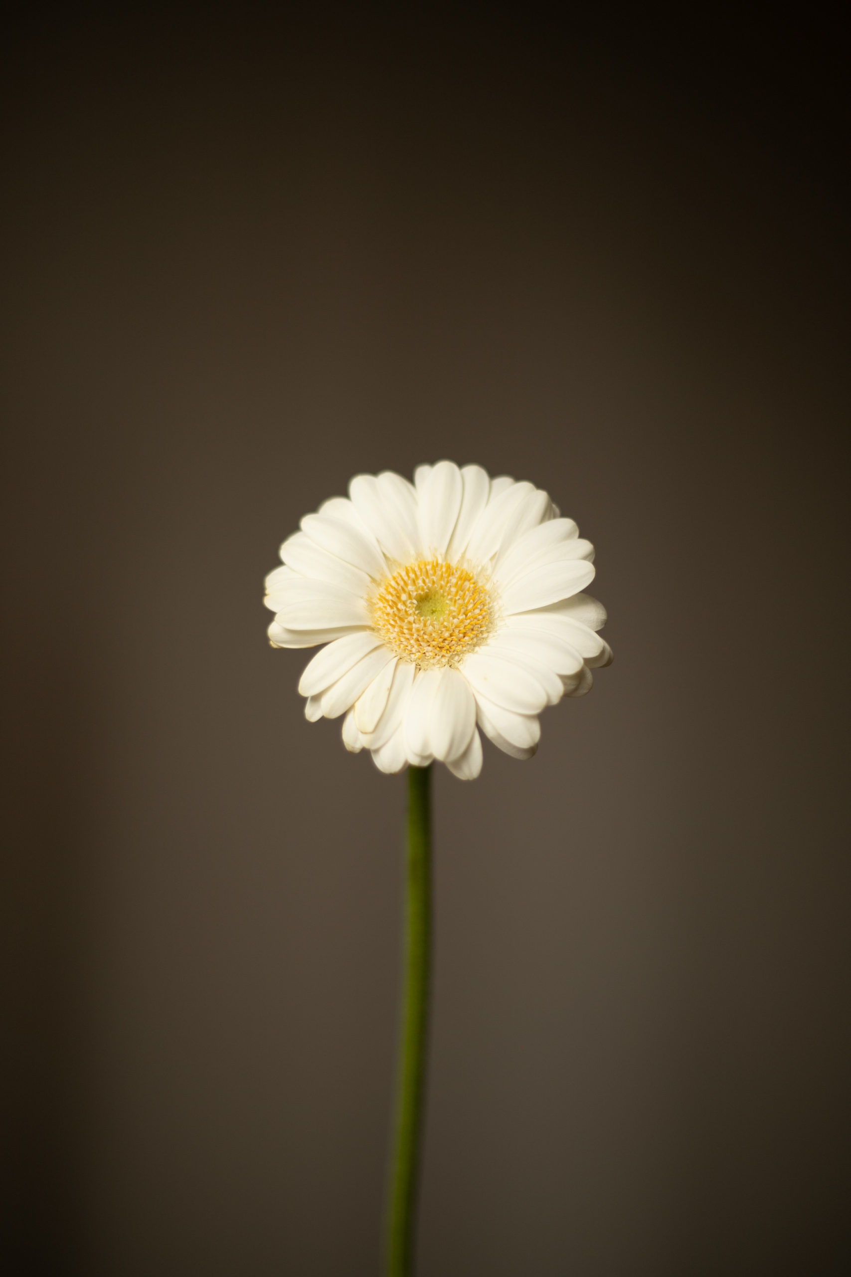 Indoor photography tips – how to take photos inside - The Ginger Wanderlust